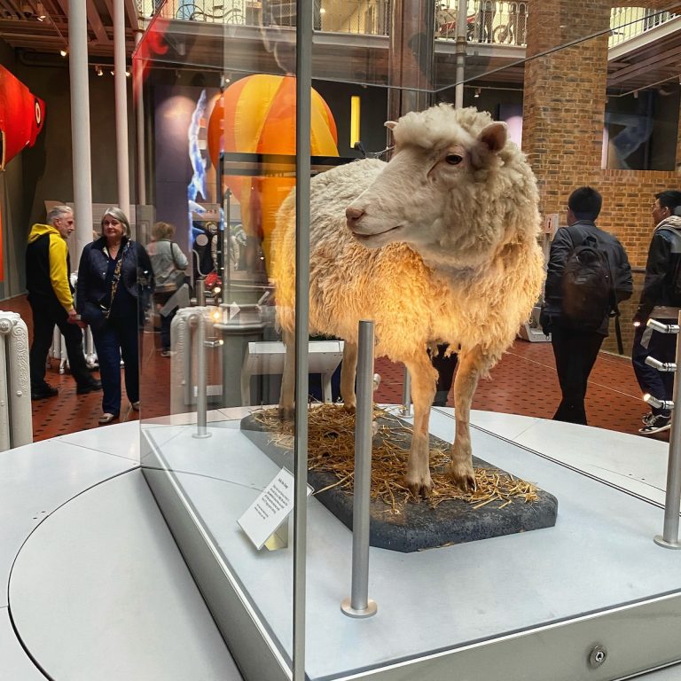 Scotland Travel Guide: Edinburgh, Harry Potter, Loch Ness, Nessie, Food ...